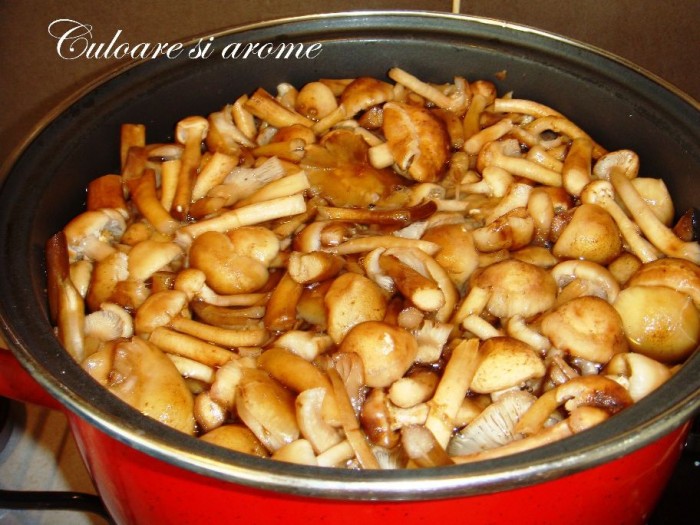 Salata de toamna (opintici, gogosari, ceapa, morcovi) - Culoare si Arome